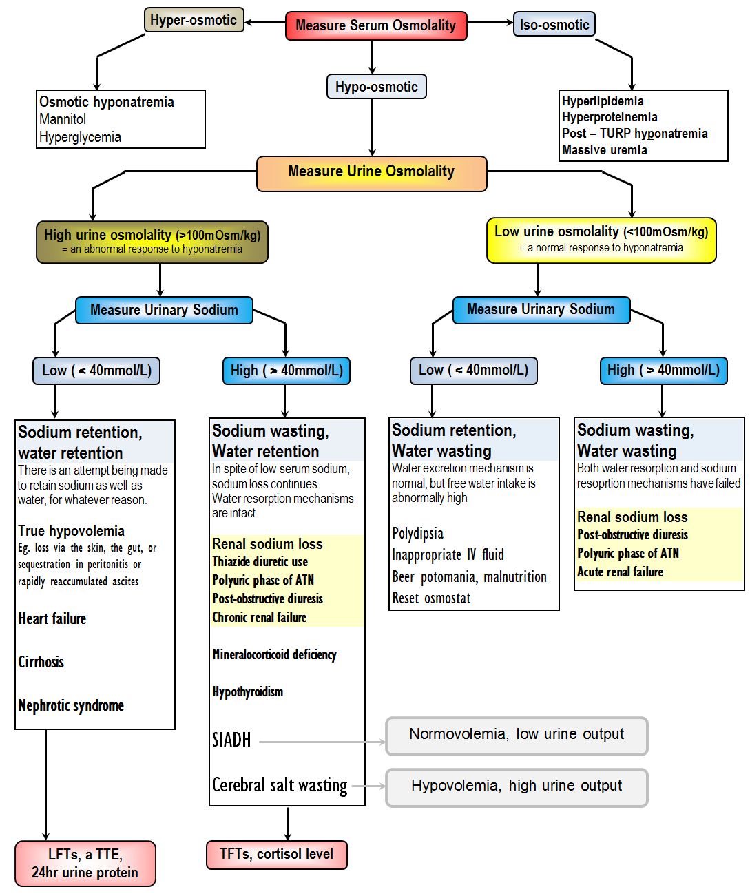 Hyponatremia: a lazy man's classification | Deranged Physiology