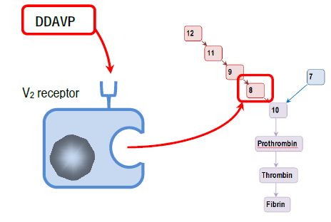 Desmopressin (DDAVP) in the treatment of platelet dysfunction ...