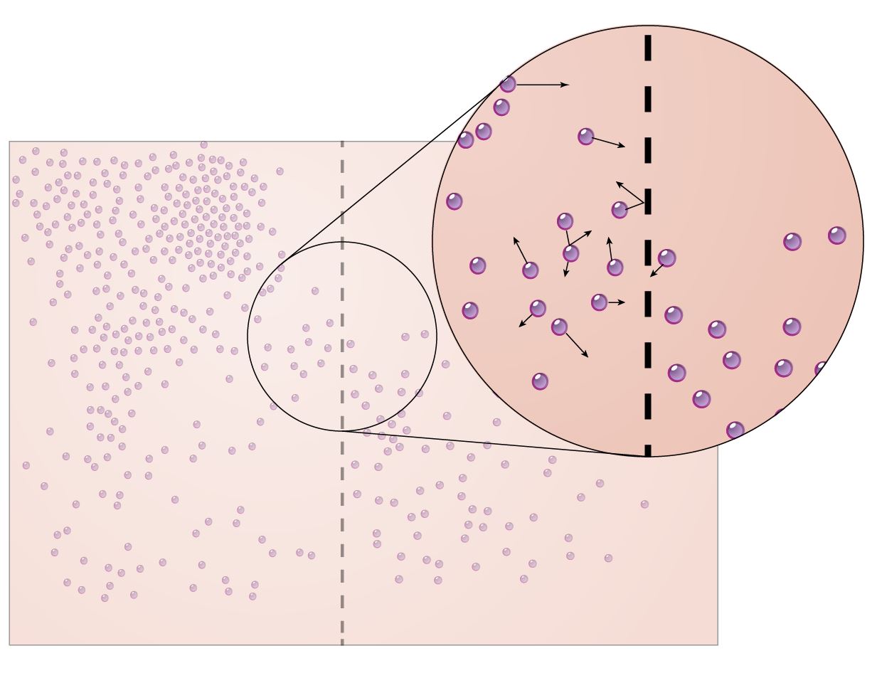 Diffusion as a mechanism of solute removal | Deranged Physiology