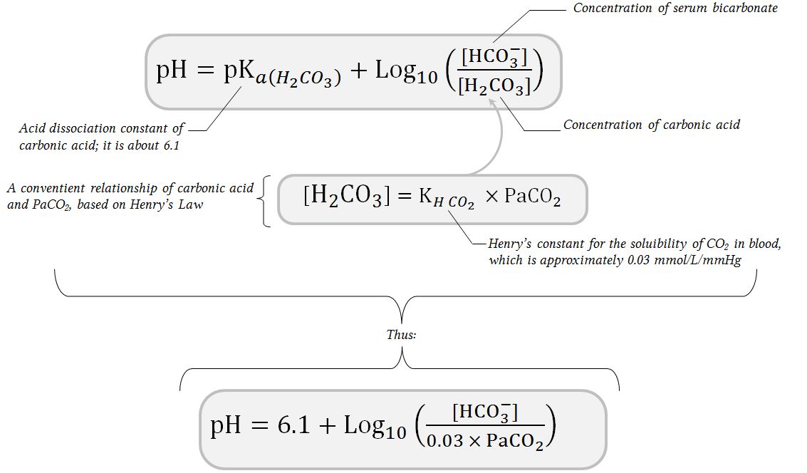 The actual bicarbonate value | Deranged Physiology
