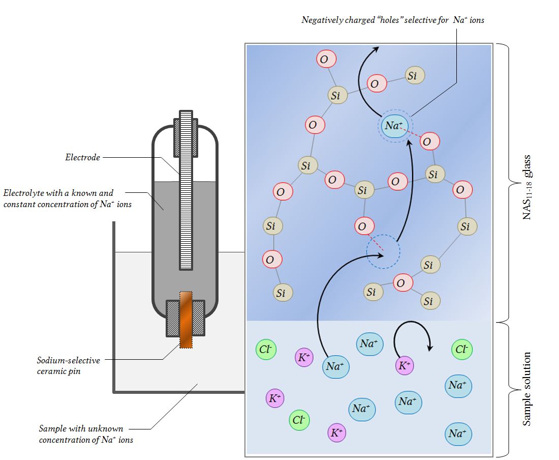 Glass Electrode Principle at Paula Banks blog